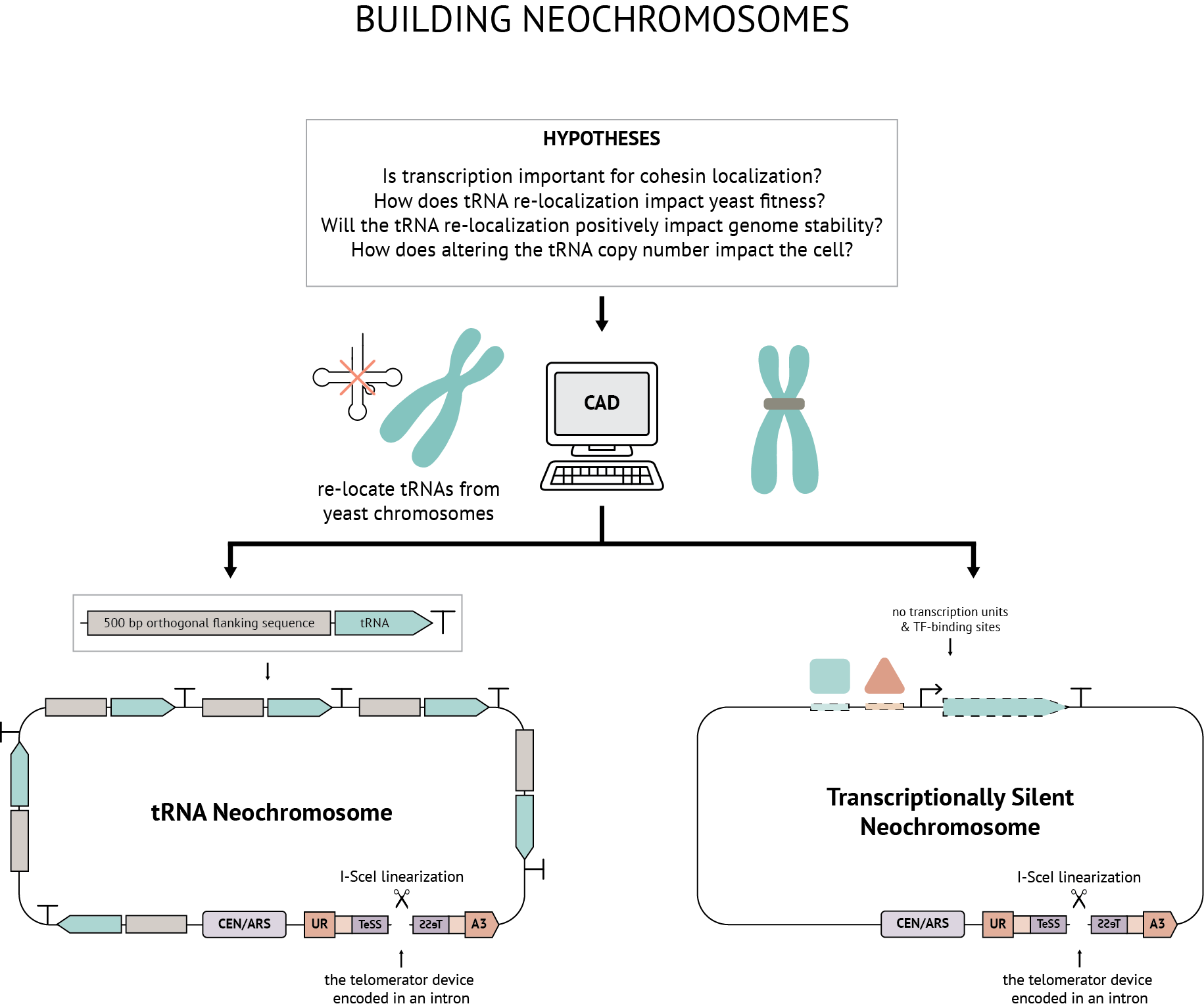 Projects – The Cai Lab
